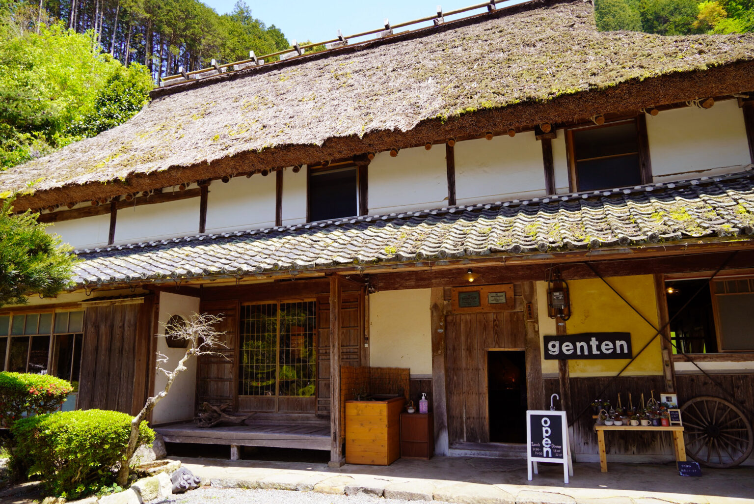 猫とポニーとオムライス。200年の時を刻む古民家カフェでとびきり素敵な時間を | Localprime【兵庫県のとっておきの体験を】