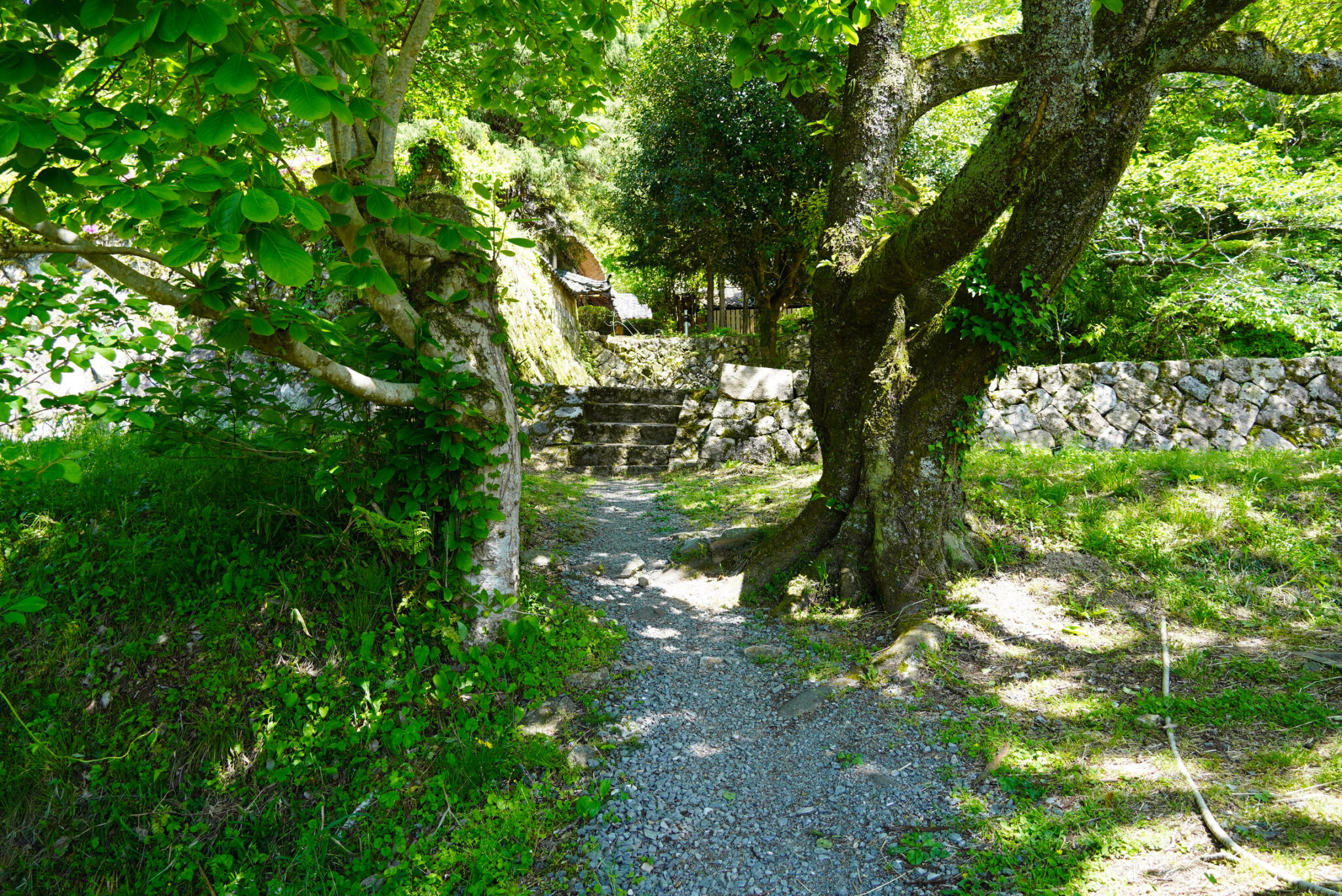 猫とポニーとオムライス。200年の時を刻む古民家カフェでとびきり素敵な時間を | Localprime【兵庫県のとっておきの体験を】