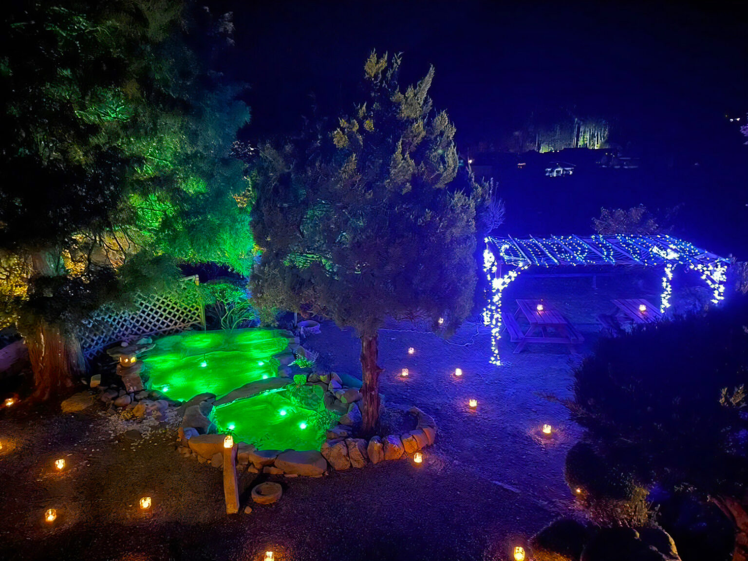 猫とポニーとオムライス。200年の時を刻む古民家カフェでとびきり素敵な時間を | Localprime【兵庫県のとっておきの体験を】